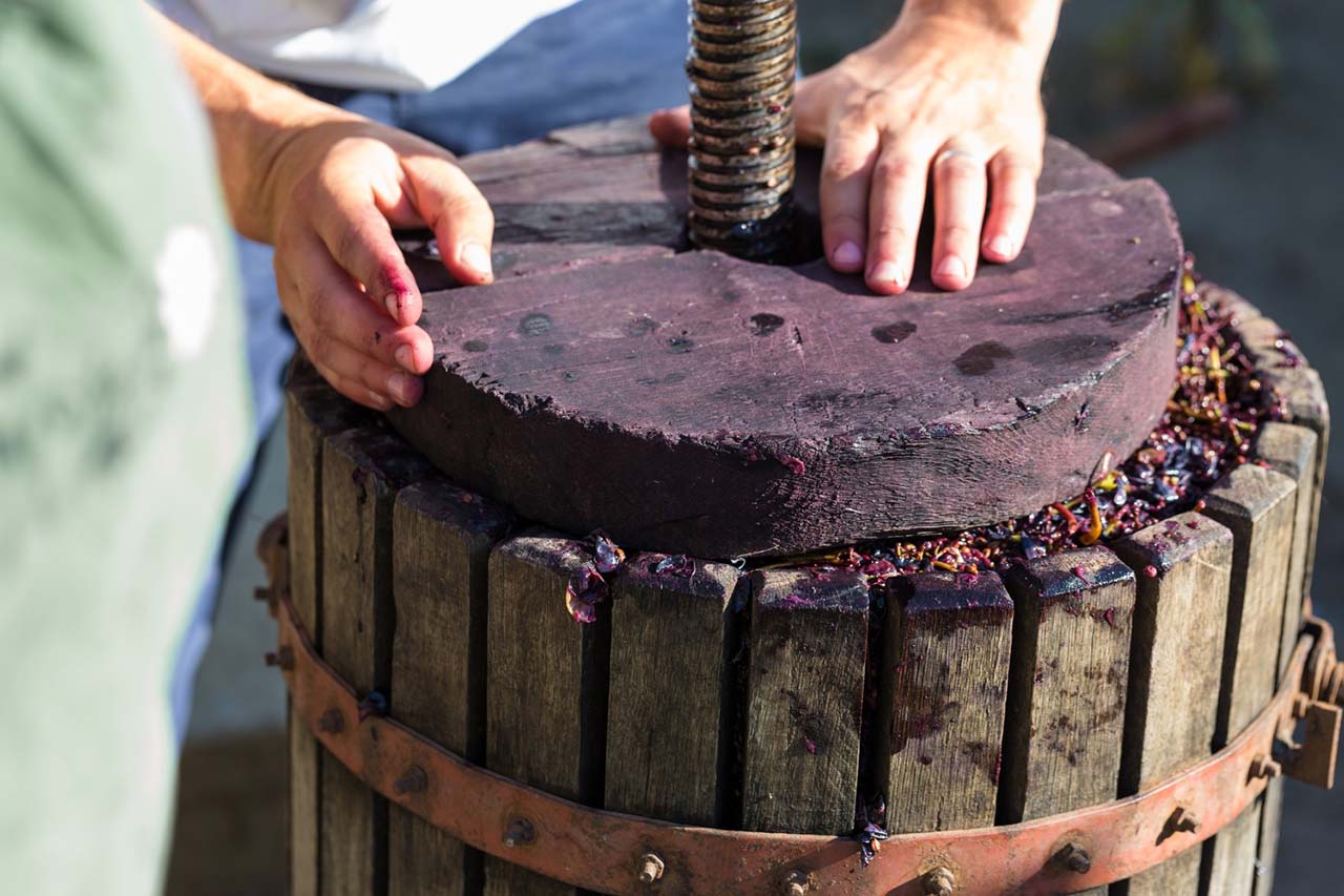 DIY Wine Making - Malthouse Home Brew Supplies.